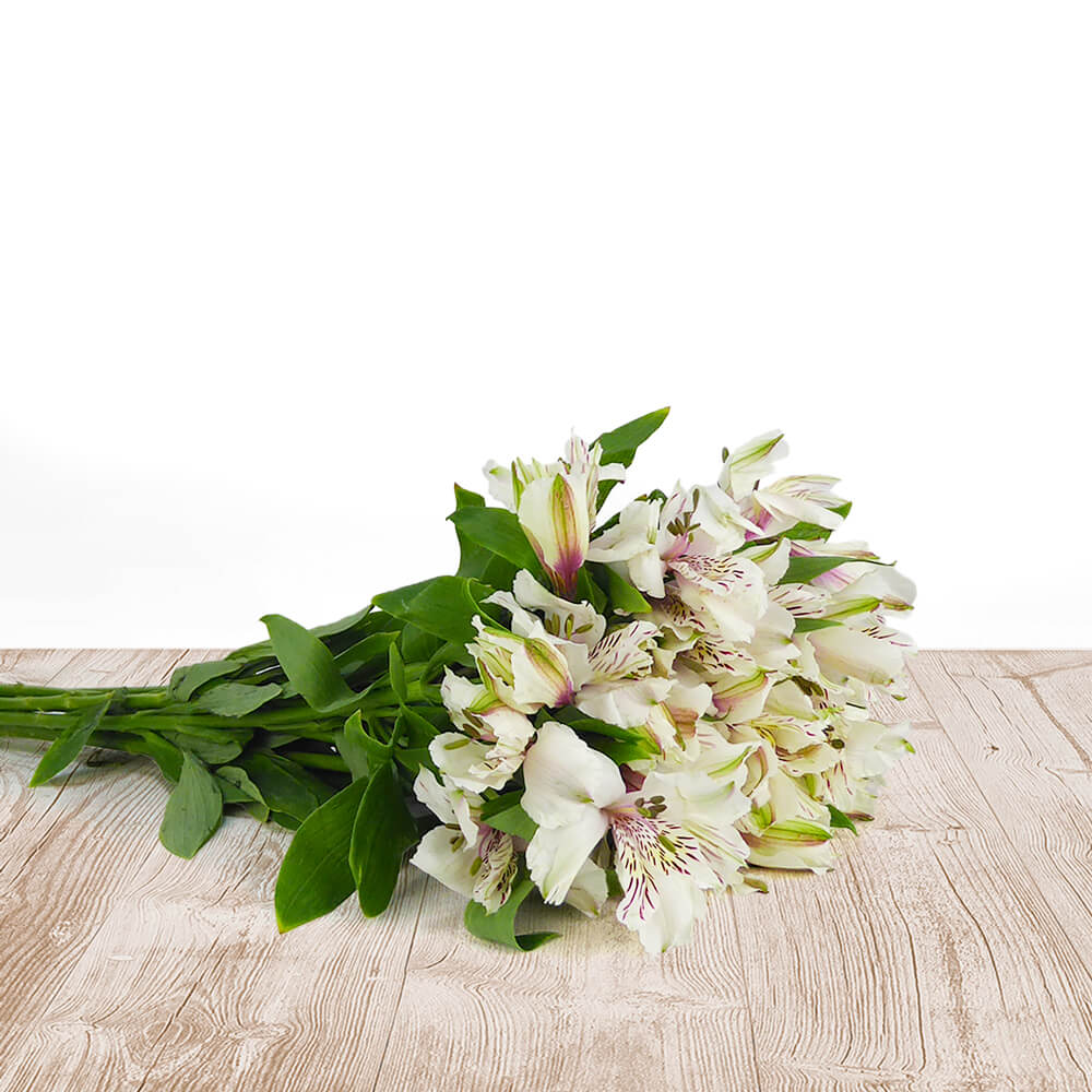 Comprar flores online a domicilio | Envíos en 24h - MariFlores